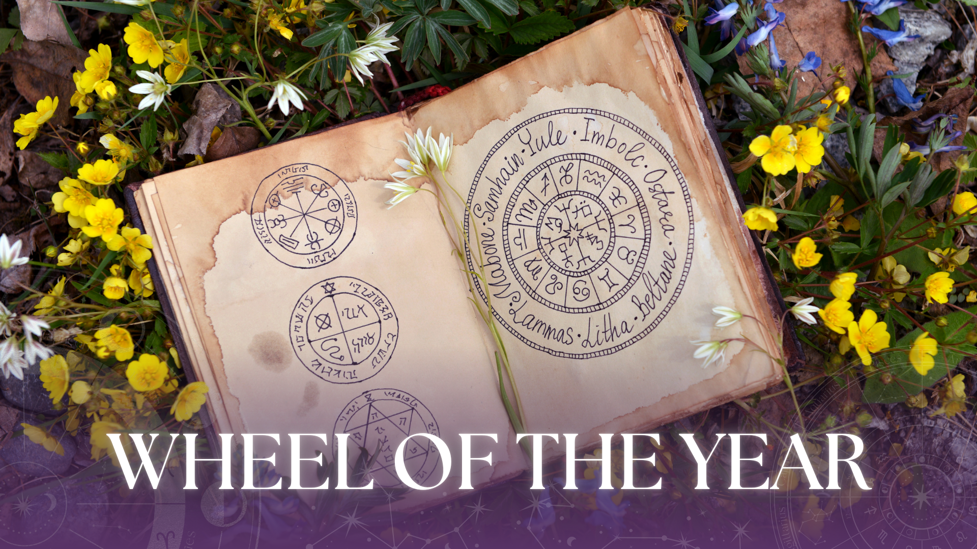 The Wheel of the Year: A Wiccan Guide to Sabbats & Seasons – Wicca Vibes